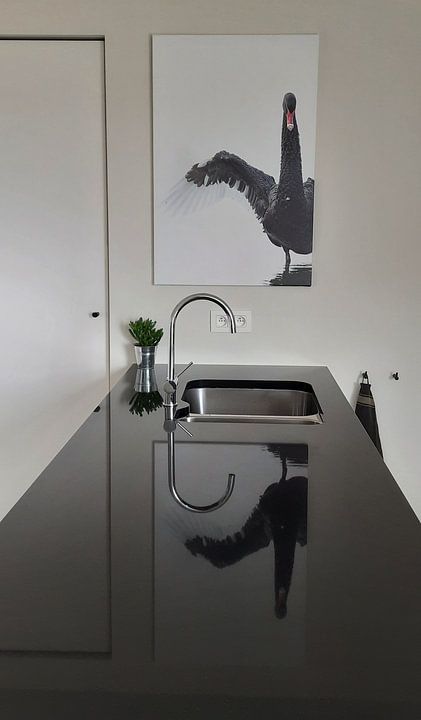 Den Haag in Zwart/Wit van Sander Meertins op canvas, behang en meer