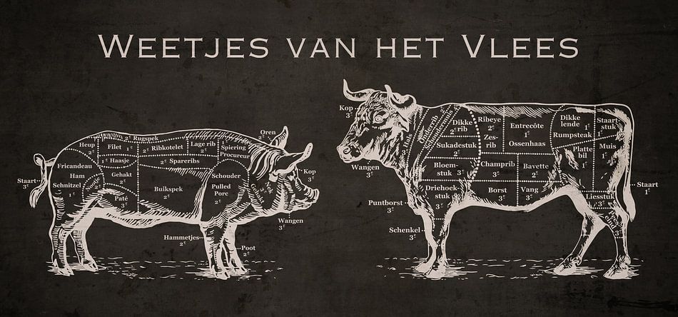 Weetjes van het Vlees (Model Bacco) van Kurt Schraepen op canvas ...