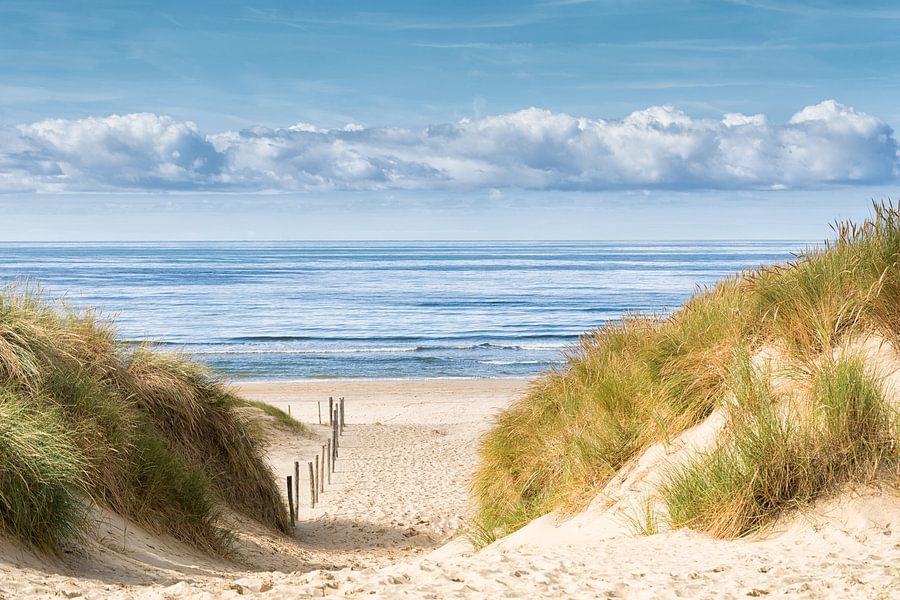 Het strand, de zee en de duinen in de zomer van Lisette Rijkers op ...