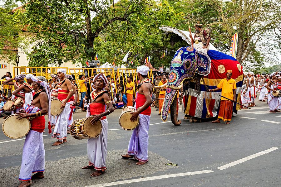 The Perahera Festival in Kandy by Roland Brack on canvas, poster ...