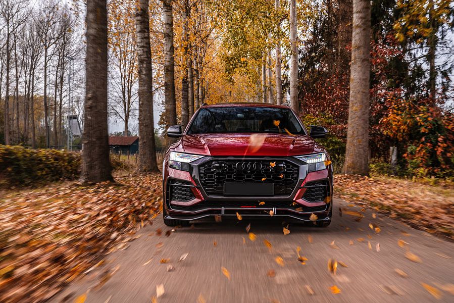 Audi RSQ8-R Abt by Bas Fransen on canvas, poster, wallpaper and more