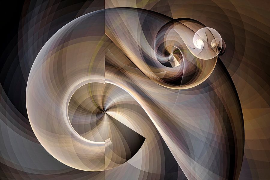 Nautilus schelp van Max Steinwald op canvas, behang en meer