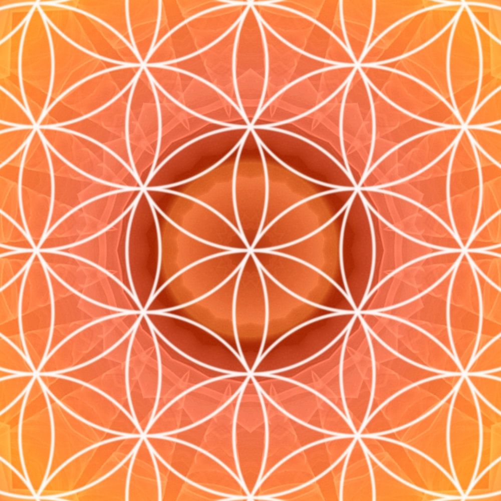 Heiligbeen Chakra met Levensbloem van Christine Bässler op canvas ...