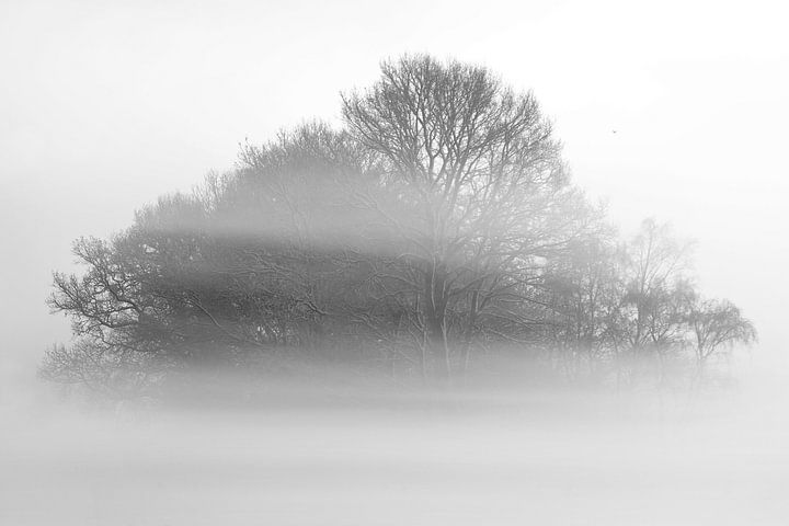 Jan Dolfing | Bestel premium kunstwerken