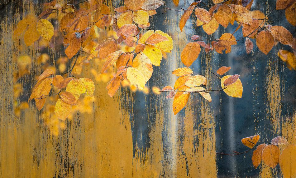 Kunst met schilderachtige gele blaadjes van Rob Visser op canvas ...