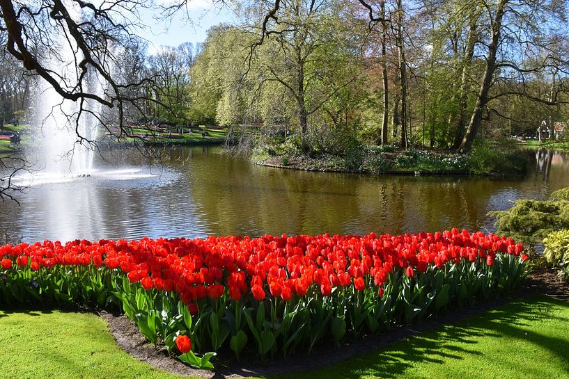 Tulpen in bloei in de tuin van Claude Laprise op canvas, behang en meer