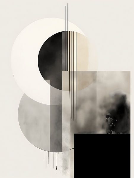 Zwart Wit Abstract van Gypsy Galleria op canvas, behang en meer