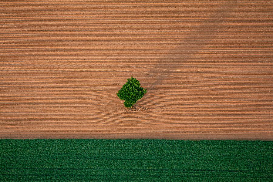Landschap akker met boom van Kas Maessen op canvas, behang en meer