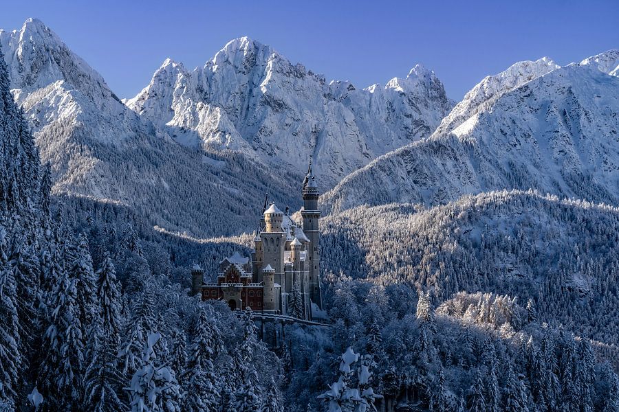 Kasteel Neuschwanstein in de winter van Achim Thomae Photography op ...