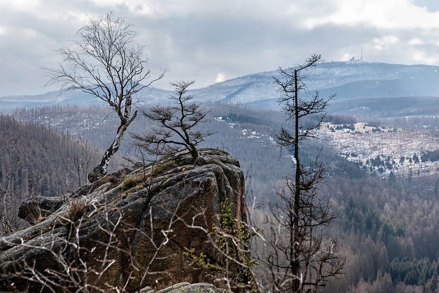 Rabenklippe en Brocken in het Harz gebergte van t.ART op canvas, behang ...