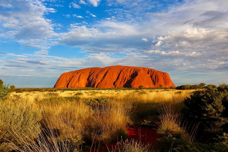 Sunset Uluru (Ayers Rock) by Laura Krol on canvas, poster, wallpaper ...