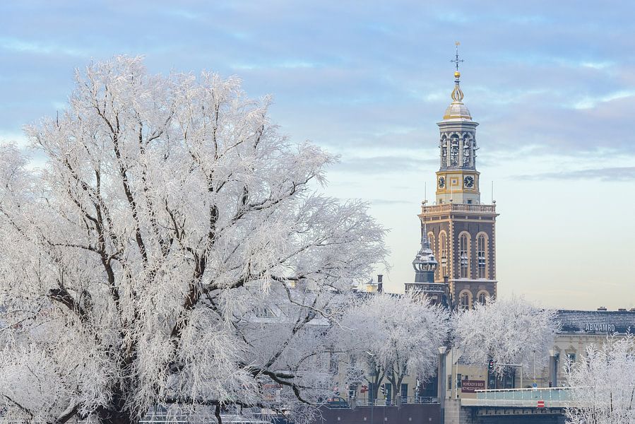 Frozen trees with the Nieuwe Toren (New Tower) in Kampen by Sjoerd van ...