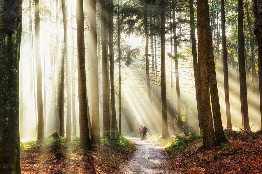 A Blisfull Ride van Lars van de Goor op canvas, behang en meer