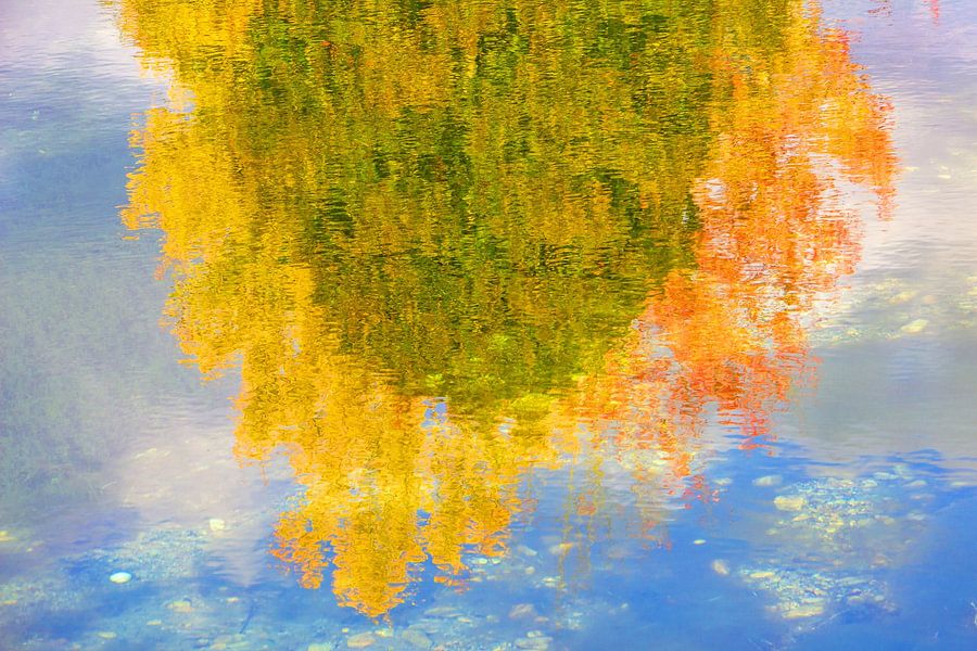 Zonnebloem van Christa Kramer op canvas, behang en meer