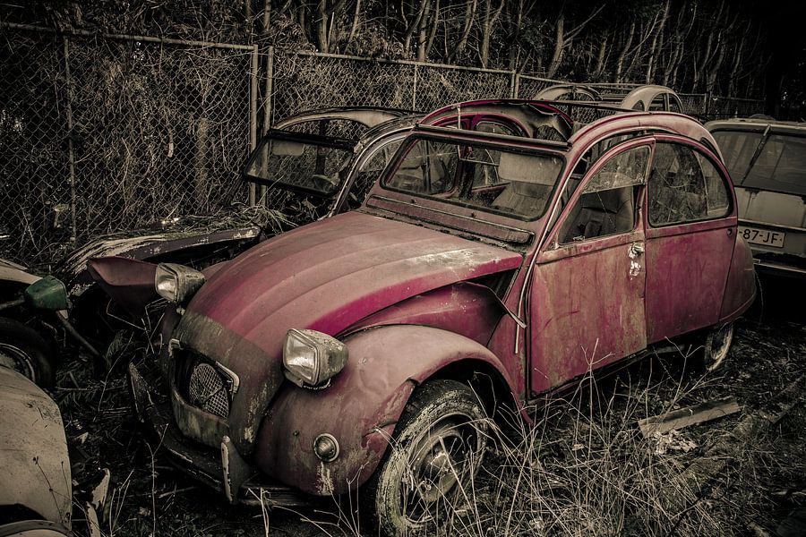 2cv van marco de Jonge op canvas, behang en meer