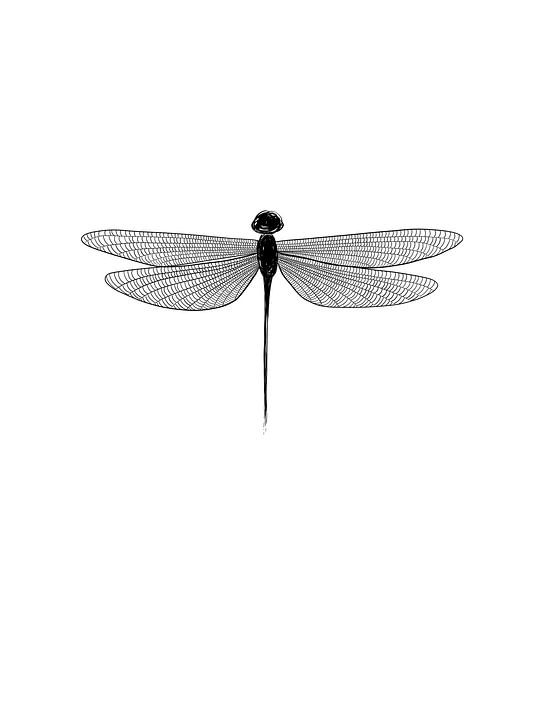 Studio Malabar | Bestel premium kunstwerken