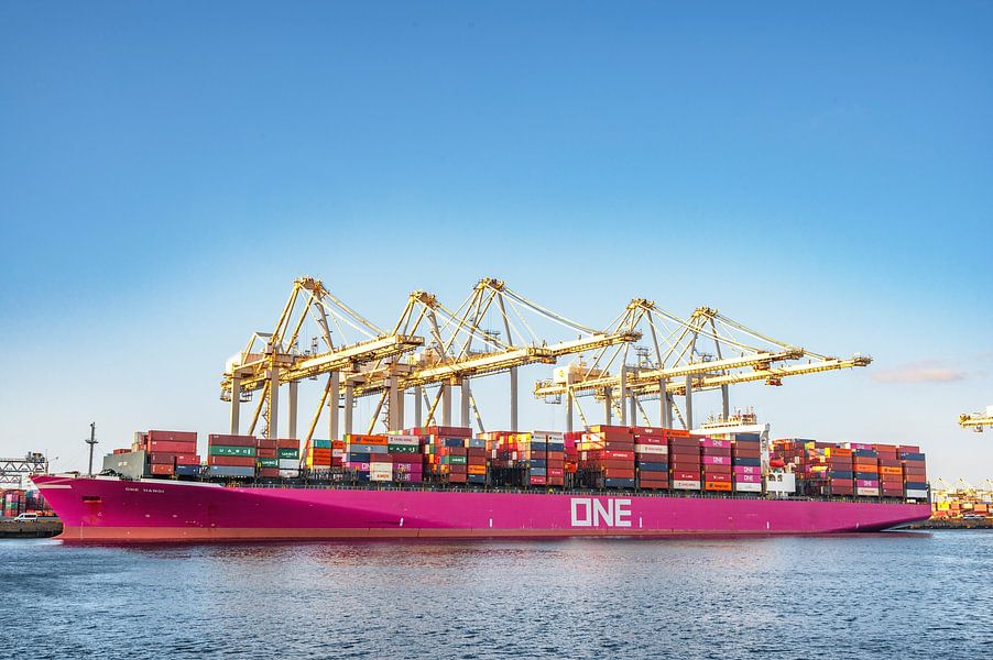 Containerschip One Hanoi bij de vrachtterminal in de haven van van ...