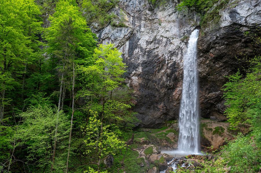 Wildensteiner Wasserfall in Oostenrijk in de lente van Sjoerd van der ...