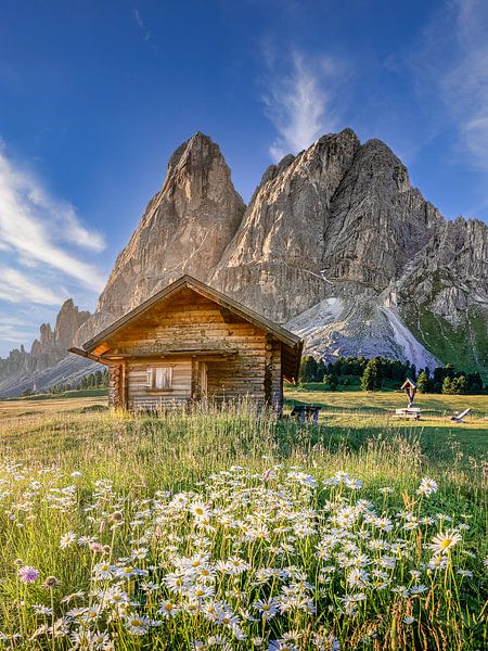 Alpine Hut Wallpaper Alpine Hut In The Austrian Alps Print By Dieter
