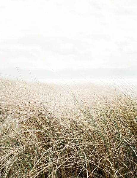 Duingras van Raisa Zwart Reisfotografie Prints op canvas, behang en meer
