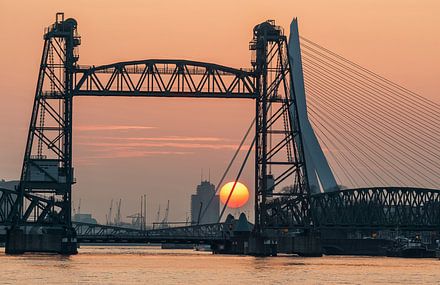 Order Beautiful The Hef Art as Wall Art | Art Heroes