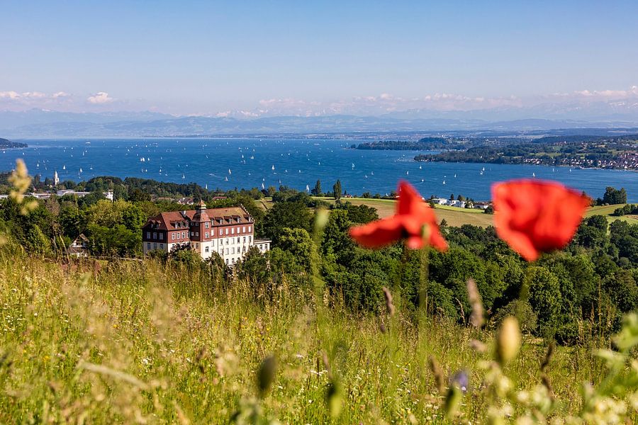 Schloss Spetzgart bei Überlingen am Bodensee von Werner Dieterich auf ArtFrame, Leinwand, Poster ...