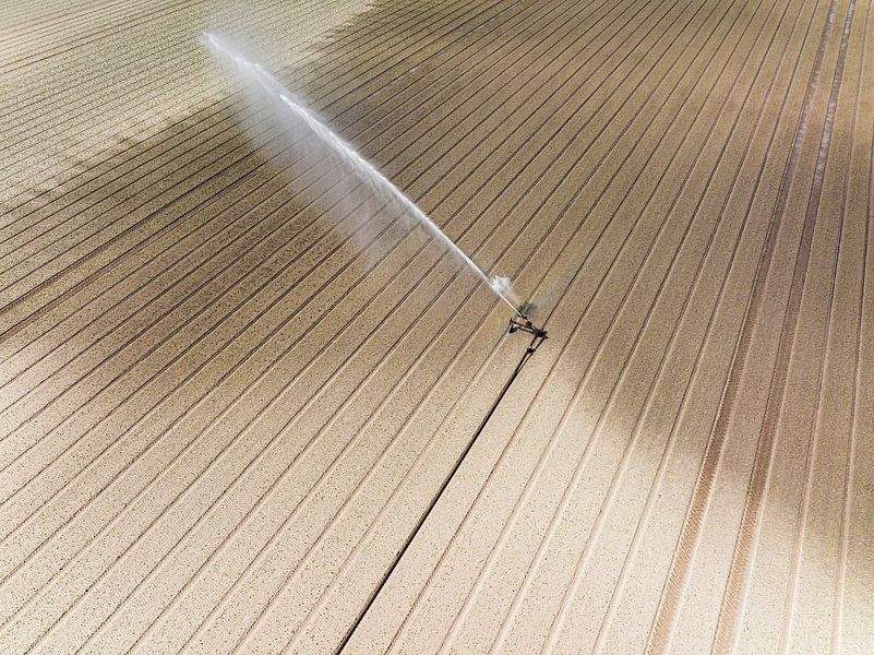 Waterkanon sproeit water op een veld tijdens een droge zomer van Sjoerd ...