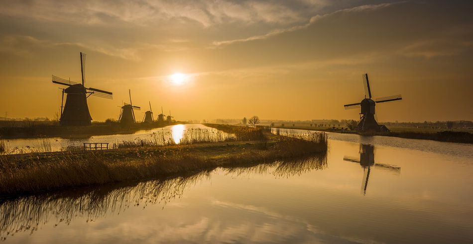 Kinderdijk Zonsopkomst van Mark De Rooij op canvas, behang en meer