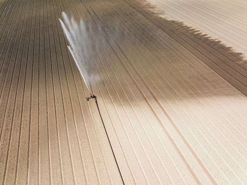 Waterkanon sproeit water op een veld tijdens een droge zomer van Sjoerd ...