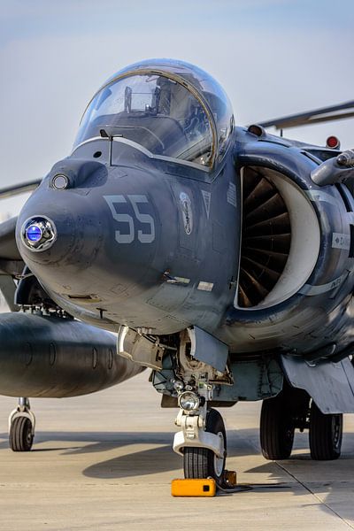 McDonnell Douglas AV-8B Harrier II. par l'artiste Jaap van den Berg