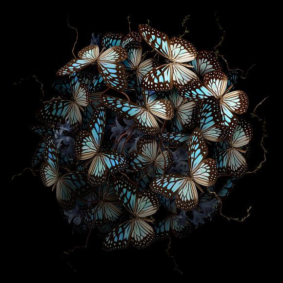 Mooie en betaalbare kunstwerken