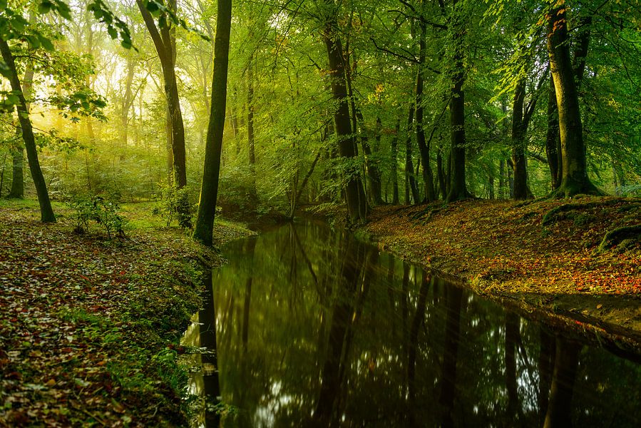 Leuvenumse Beek van Sjoerd van der Wal Fotografie op canvas, behang en meer