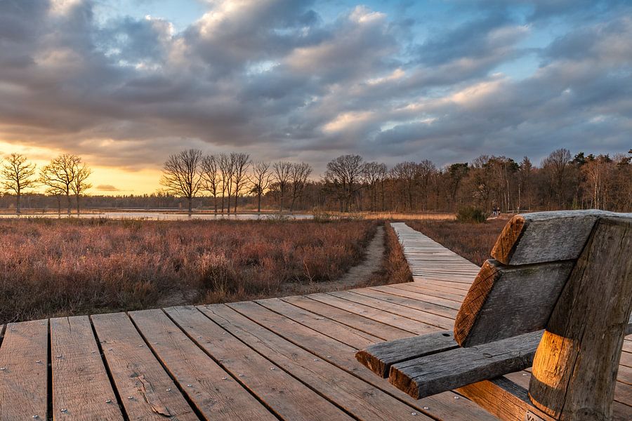 Vlonderpad Mastbos Breda, Galderse Heide van Andre Gerbens op canvas ...