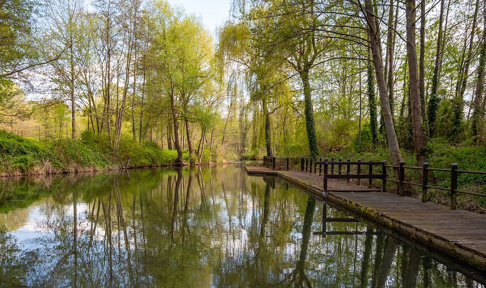 Natuur aan de Spree in het Spreewald van Animaflora PicsStock op canvas ...