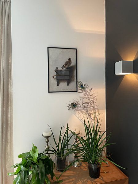 Der Distelfink von Carel Fabritius ArtFrame, Leinwand, Poster und mehr ...